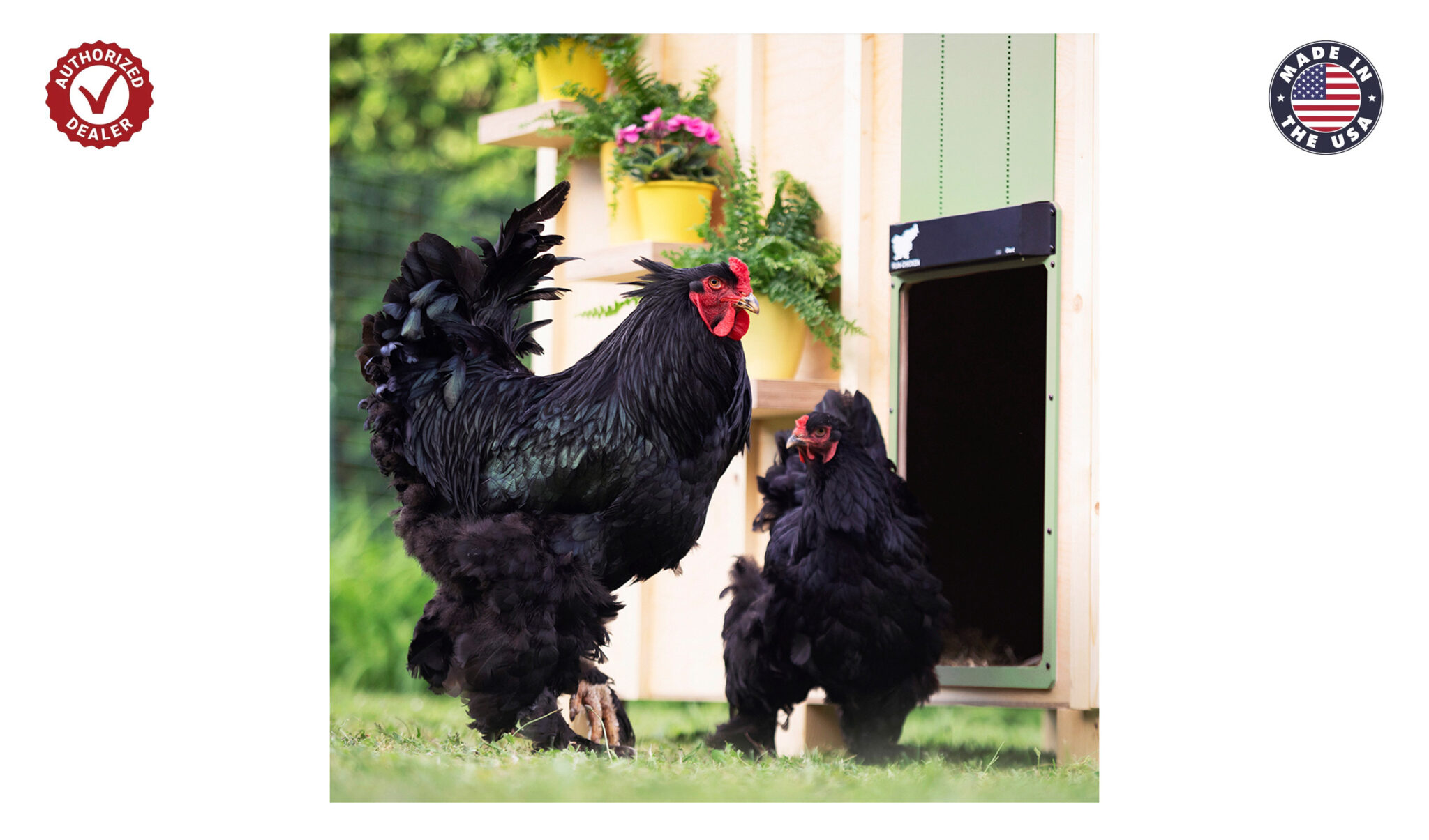 RUN-CHICKEN GIANT Automatic Coop Door - Easy Coops™